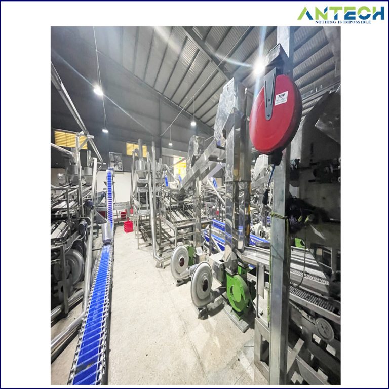 Automatic Cashew Shelling Machine Line - Antech Industry